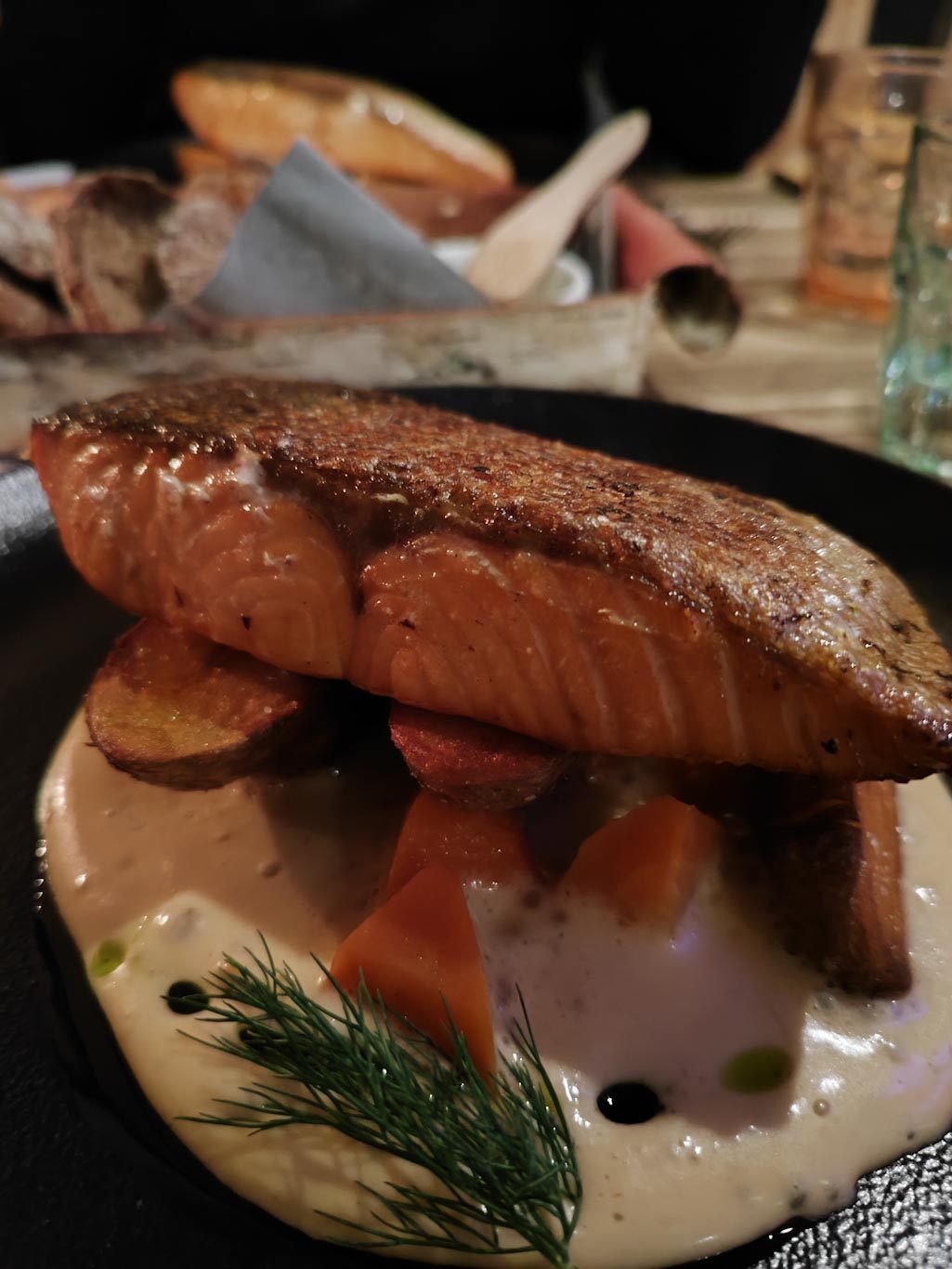 12 cosas que saber antes de viajar a Laponia 2025 - Pasado Viajado