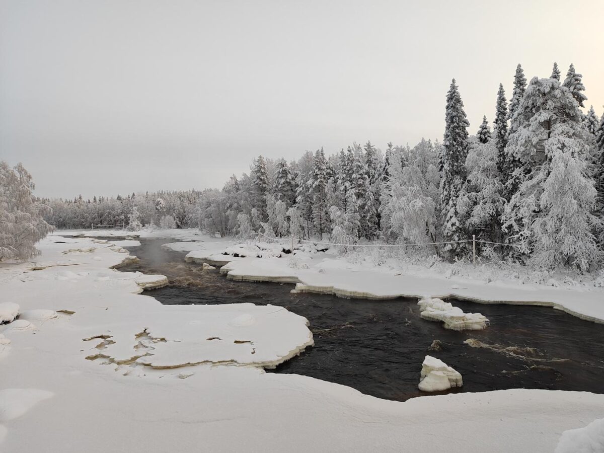 Guía completa para viajar a laponia en navidad 2025 - Pasado Viajado